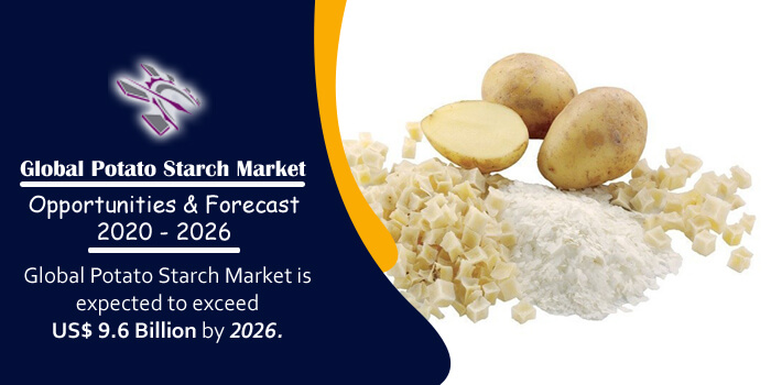 Potato Starch Market, Volume & Global Forecast, by Products