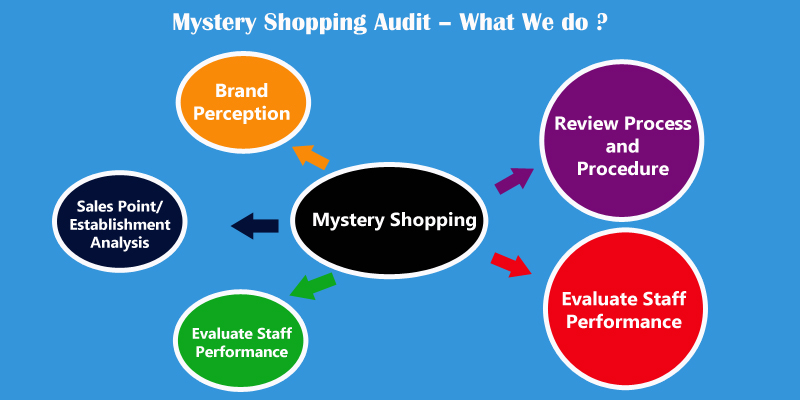Mystery Audit