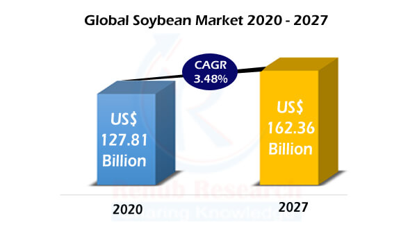 Soybean Market, Size, Share, Global Forecast 2024-2030