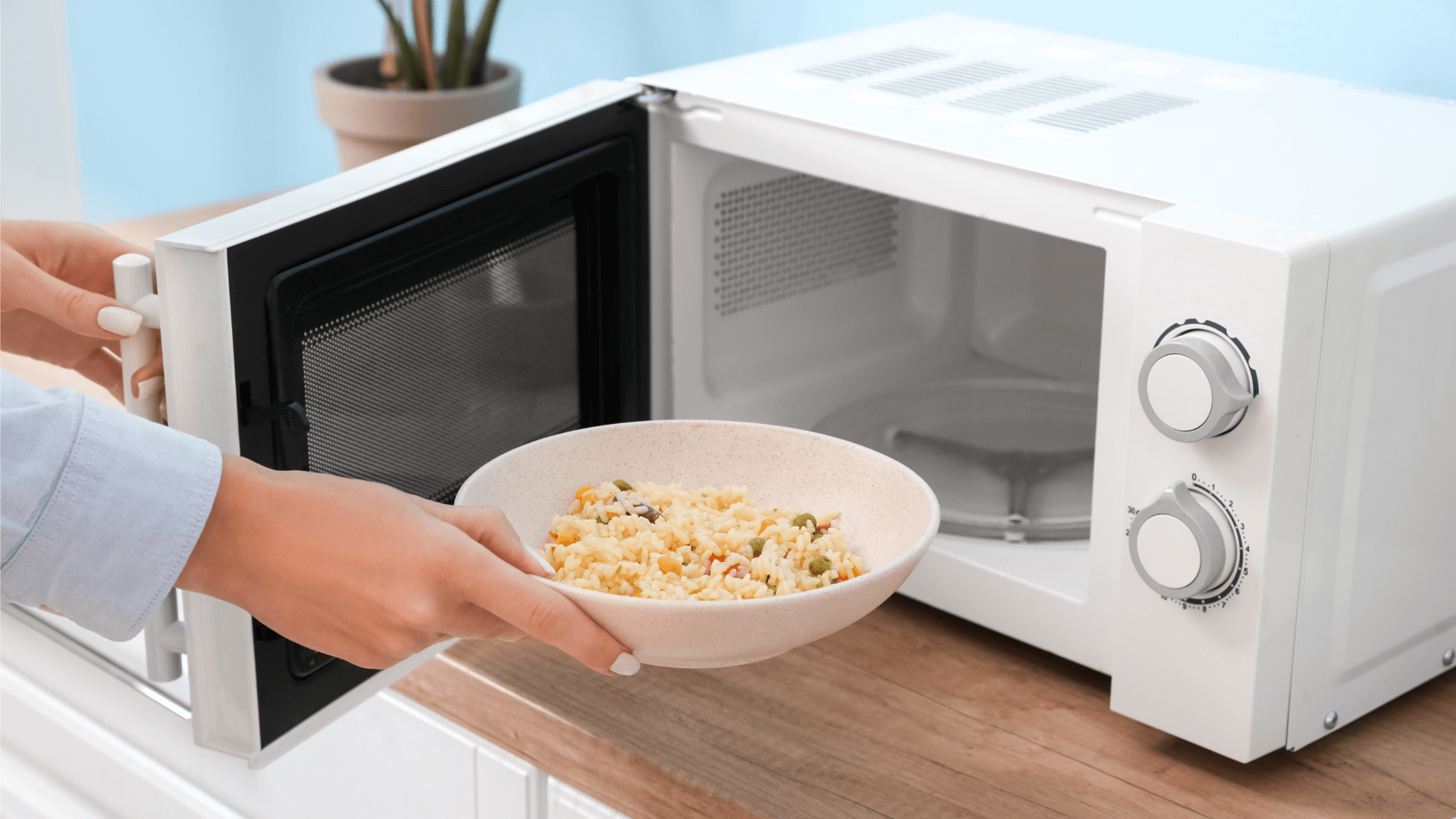 Top Microwave Oven Companies in Europe: Market Players 2025